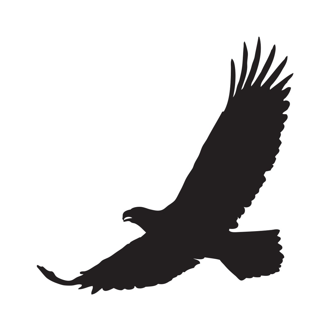 Eagle in Flight Vinyl Wall Art Decal Sticker. Fun Kid's Room Wall Decal ...