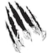 Vinyl Wall Art Decal Sticker Predator Claw Attack 125s - Etsy
