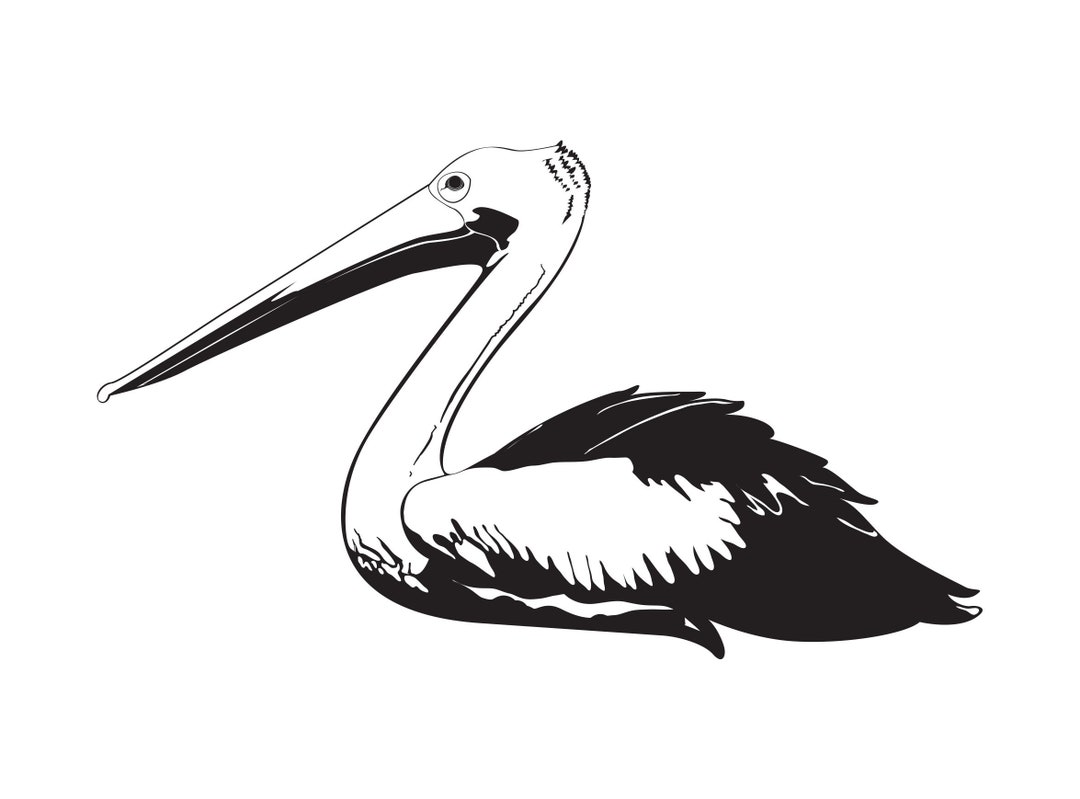 Pelican Wall Decal Sticker. Beach Theme Decor. Nautical Theme. - Etsy