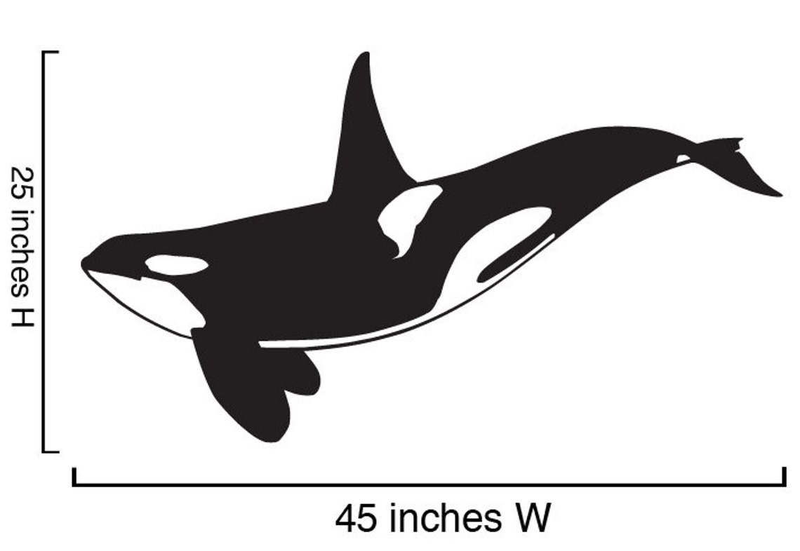 Vinyl Wall Decal Sticker Killer Whale Orca 648 | Etsy