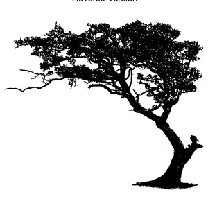 Large Tree Wall Decal Hanging Leaning Tree Sticker Bedroom - Etsy