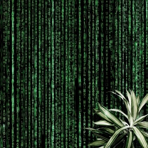 Computer Matrix Style Lines of Code Wall Mural Matrix Wallpaper Game ...