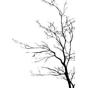 Bare Tree Branches Wall Decal Sticker. Bedroom Wall Decor - Etsy