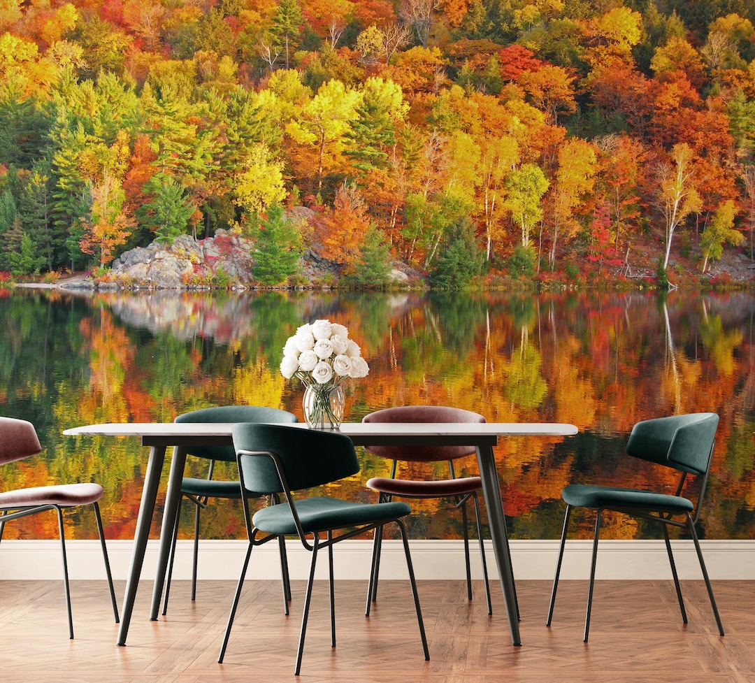 Colorful Autumn Forest Over Lake Wall Mural. Fall Foliage Scenic Peel ...