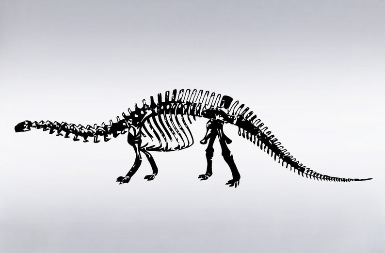 Vinyl Wall Sticker Broncosaurus Rex Dinosaur 33x120 Item 379m - Etsy