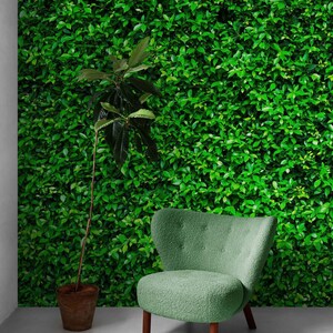 Grass Wallpaper Botanical Peel and Stick Grass Backdrop 3D Grass Wall ...