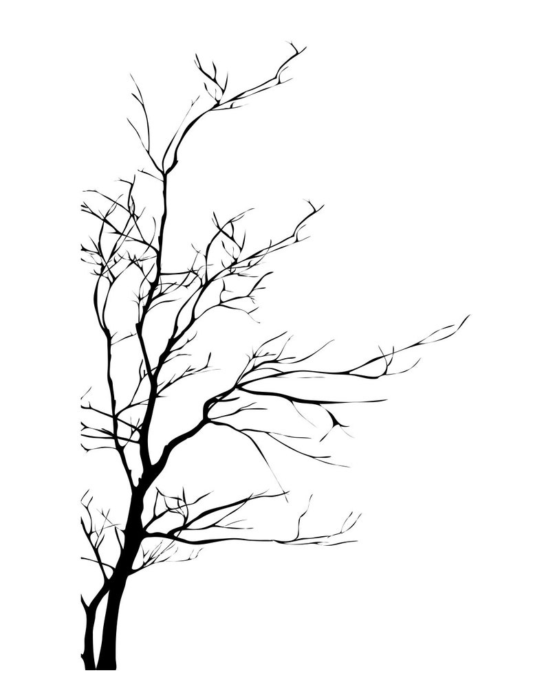 Bare Tree Branches Wall Decal Sticker. Bedroom Wall Decor - Etsy