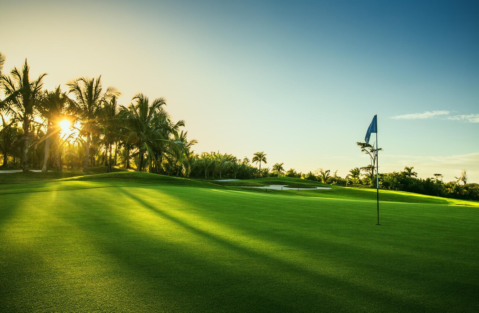 Stunning Golf Course Wallpaper Mural. Sunset Over Green With Palm Trees ...