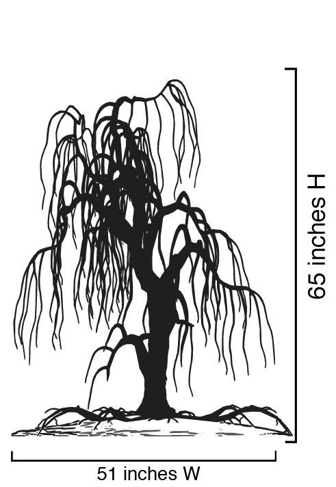 Vinyl Wall Decal Sticker Weeping Willow Tree 153A 65in Tall X - Etsy