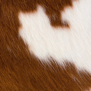 Western Theme Wallpaper. Country-style Cowhide Wallpaper for Rustic ...