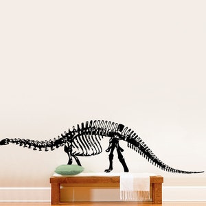 Vinyl Wall Sticker Broncosaurus Rex Dinosaur 33x120 Item 379m - Etsy