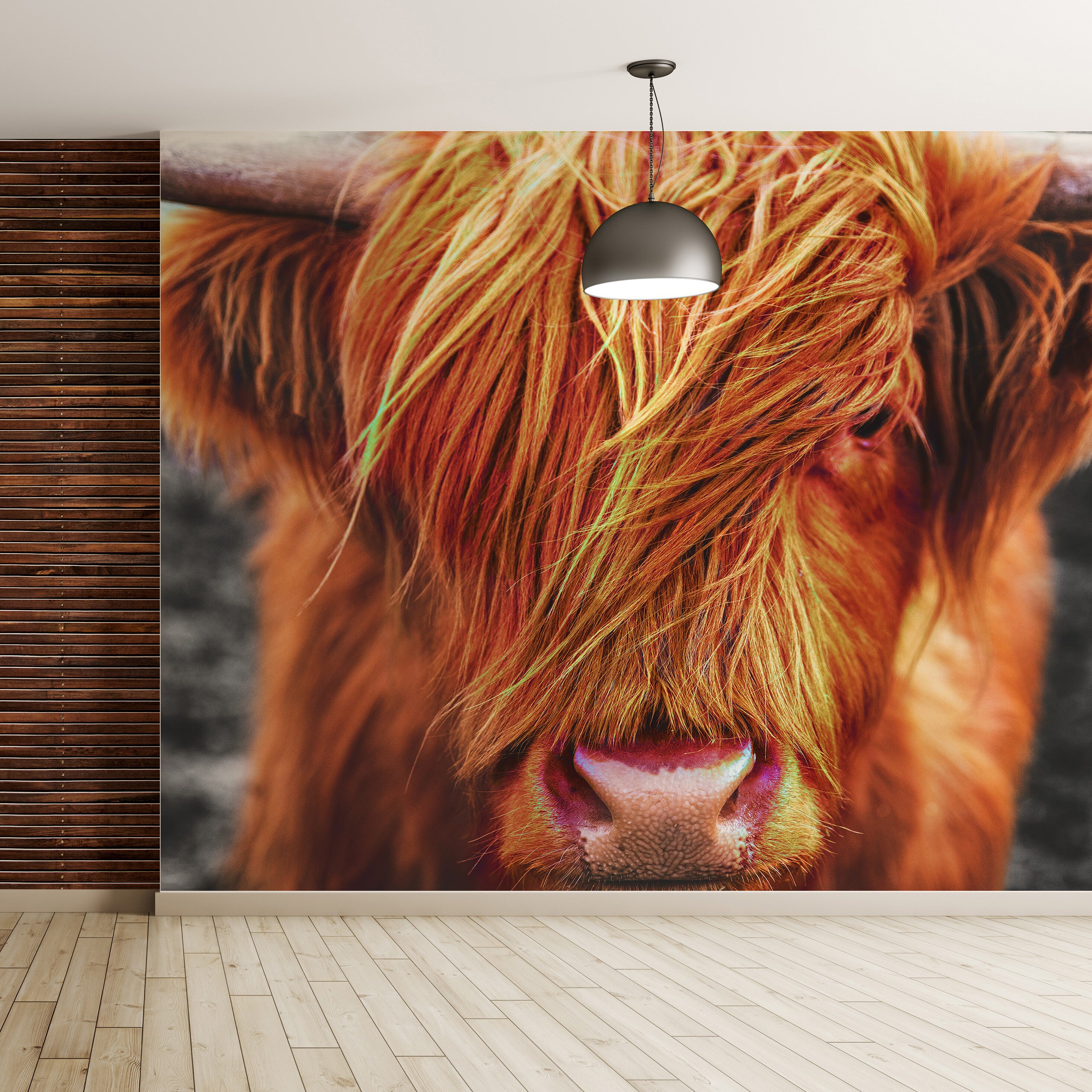 Scotland Highland Cow Cattle Head Wall Mural. Farmhouse Wall Decor ...