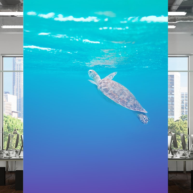 Sea Turtle Mural - Etsy