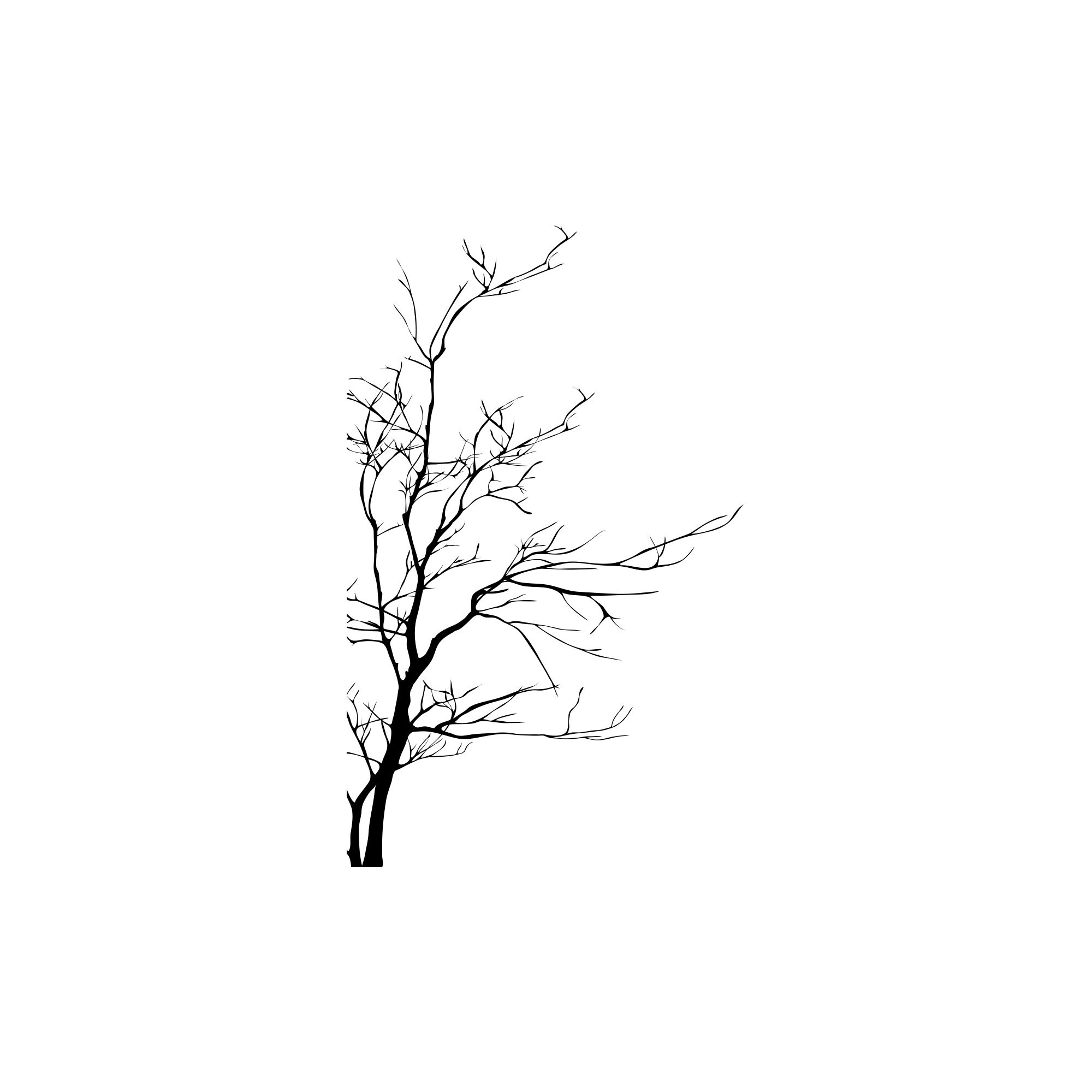 Bare Tree Branches Wall Decal Sticker. Bedroom Wall Decor, Bathroom ...