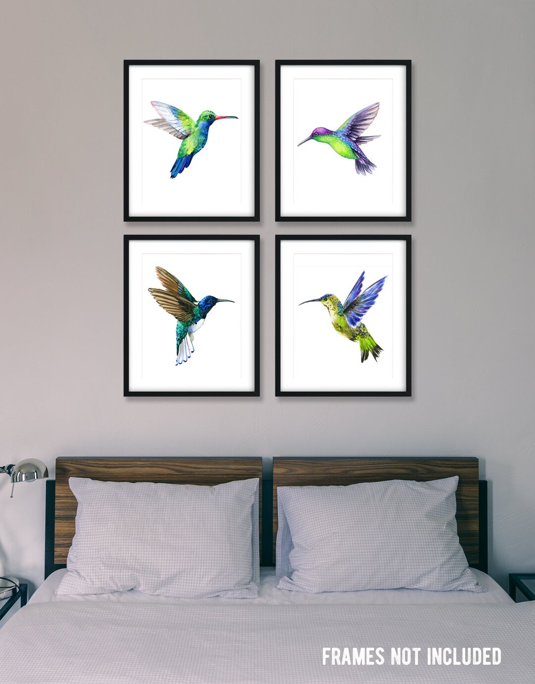 Hummingbird Posters set of 4 Unframed. Great Wall Decor for - Etsy