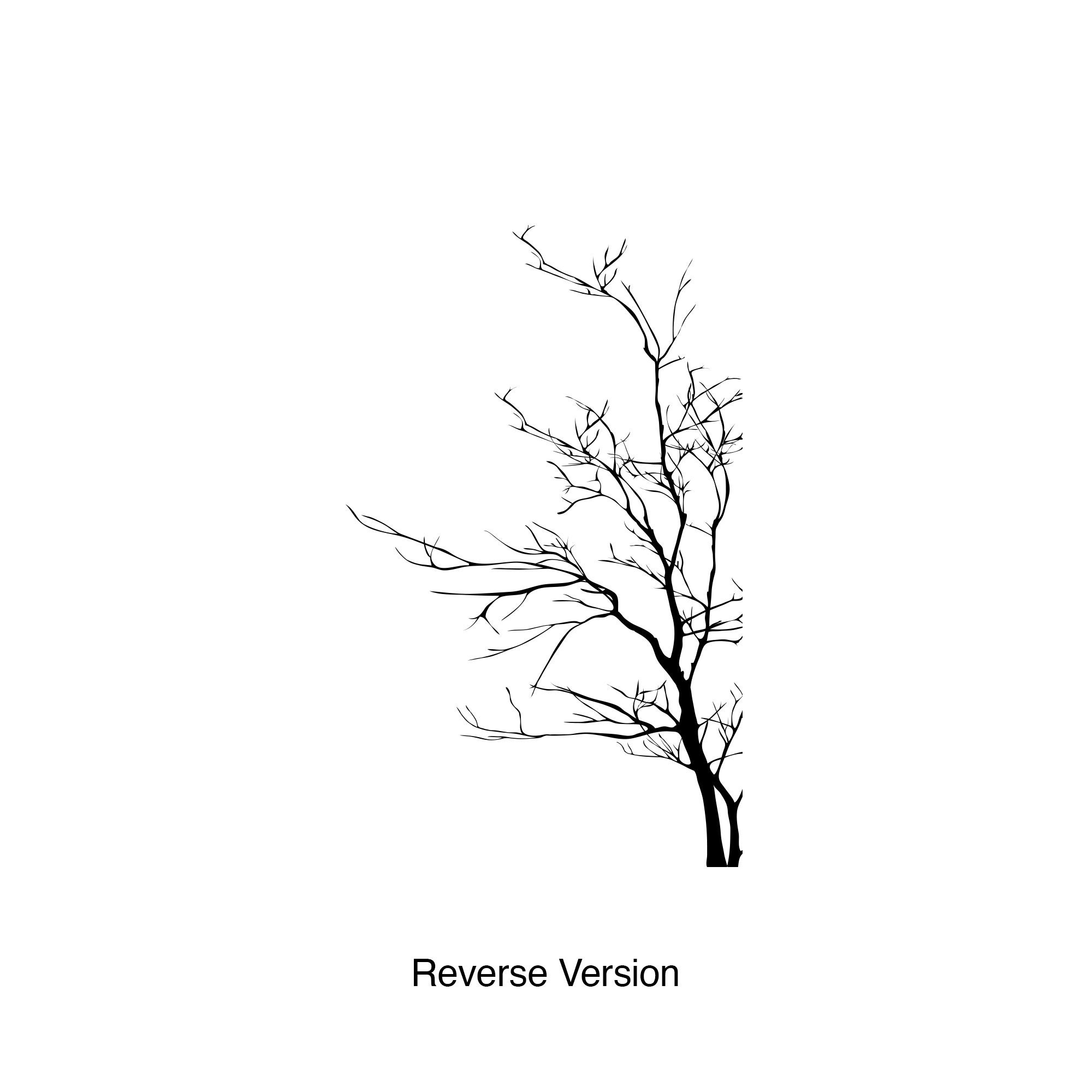 Bare Tree Branches Wall Decal Sticker. Bedroom Wall Decor, Bathroom ...