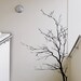 Bare Tree Branches Wall Decal Sticker. Bedroom Wall Decor - Etsy