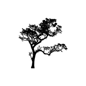 Big Oak Tree Wall Decal. Bedroom Wall Decor. Nursery Room Wall Decor ...