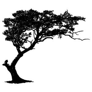 Large Tree Wall Decal Hanging Leaning Tree Sticker Bedroom - Etsy