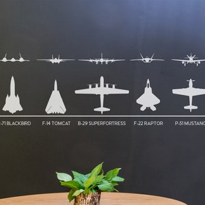 SR-71 Blackbird, F-14 Tomcat, B-29 Superfortress, F-22 Raptor, P-51 ...