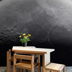 Moon Wallpaper Peel and Stick Wall Mural Black and White Wall Decor ...