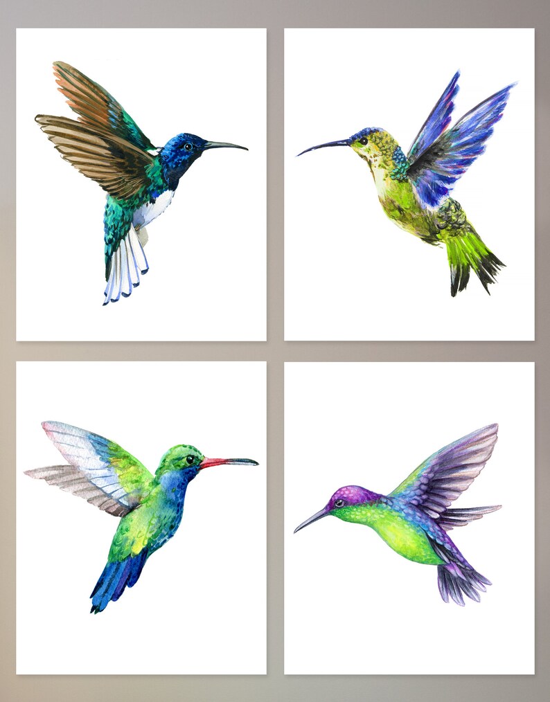 Hummingbird Posters (set of 4) Unframed. Great Wall Decor for Nursery ...