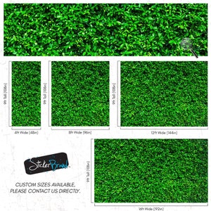 Grass Wallpaper Botanical Peel and Stick Grass Backdrop 3D Grass Wall ...