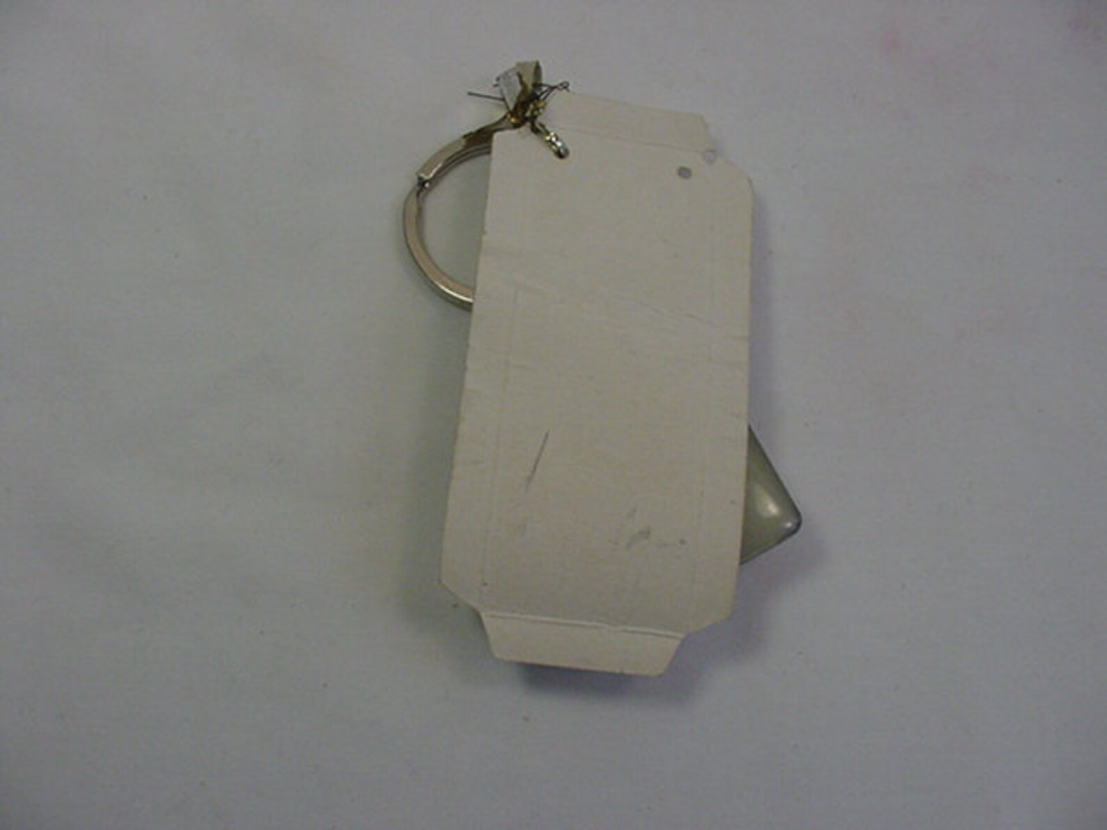 Vintage Glow in the Dark Lucite Key Chain With Real Beetle Inside on ...