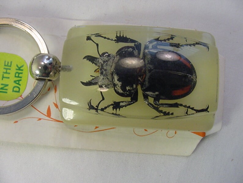 Vintage Glow in the Dark Lucite Key Chain With Real Beetle Inside on ...