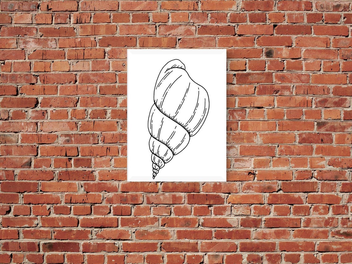 Seashell SVG Bundle, Seashell PNG Bundle, Seashell Clipart, Seashell ...