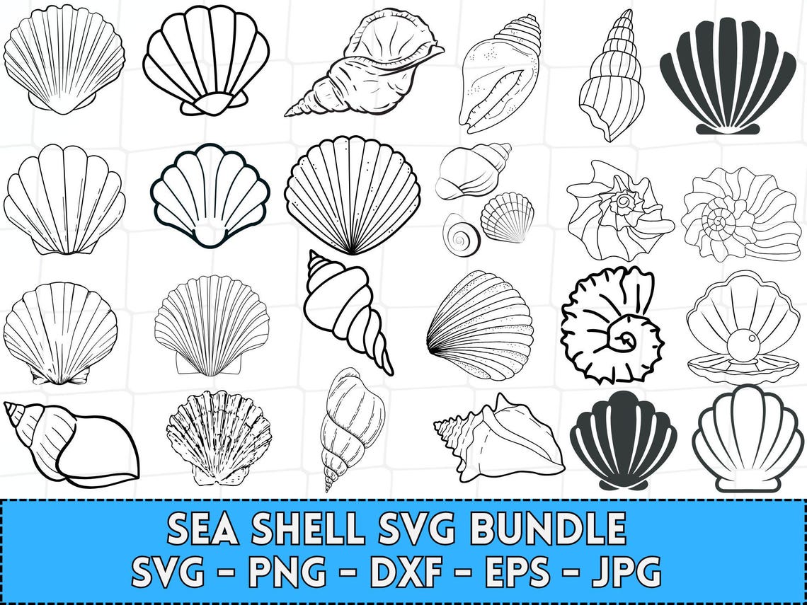 Seashell SVG Bundle, Seashell PNG Bundle, Seashell Clipart, Seashell ...