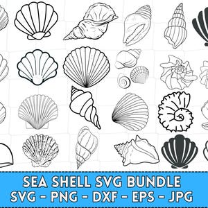 Seashell SVG Bundle, Seashell PNG Bundle, Seashell Clipart, Seashell ...