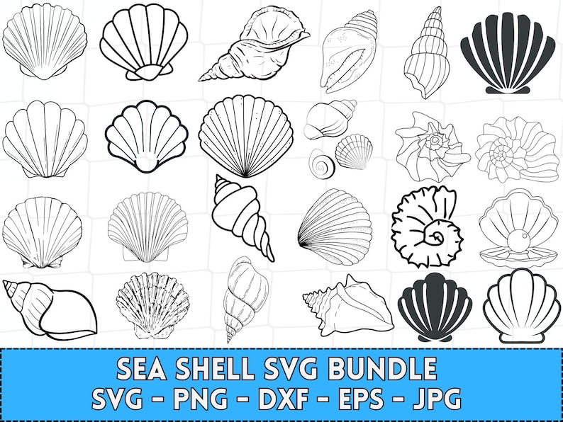 Seashell SVG Bundle, Seashell PNG Bundle, Seashell Clipart, Seashell ...