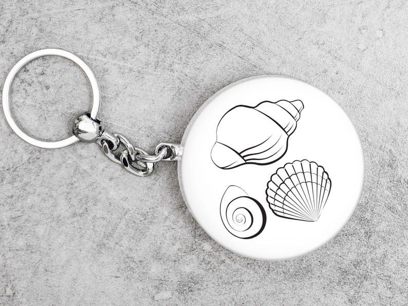 Seashell SVG Bundle, Seashell PNG Bundle, Seashell Clipart, Seashell ...