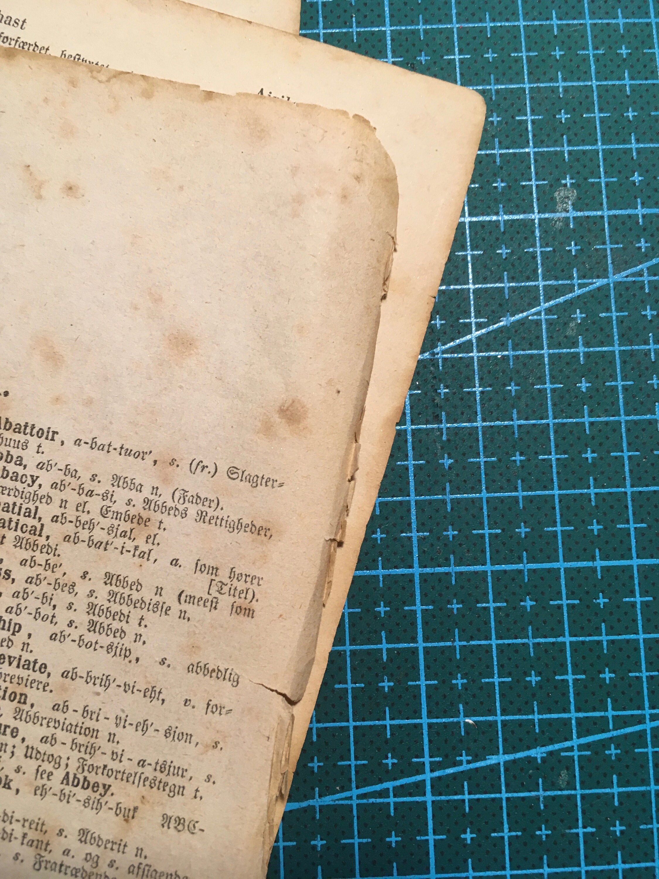 12 Vintage Antique Dictionary Pages Book Pages Paper | Etsy