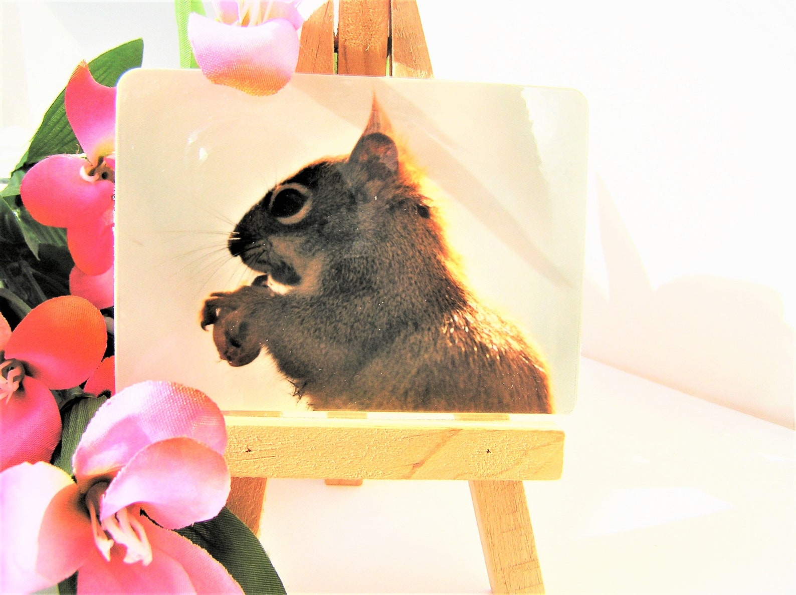 Cute Red Squirrel Fridge or Cabinet Magnet, Wildlife Nature Red ...