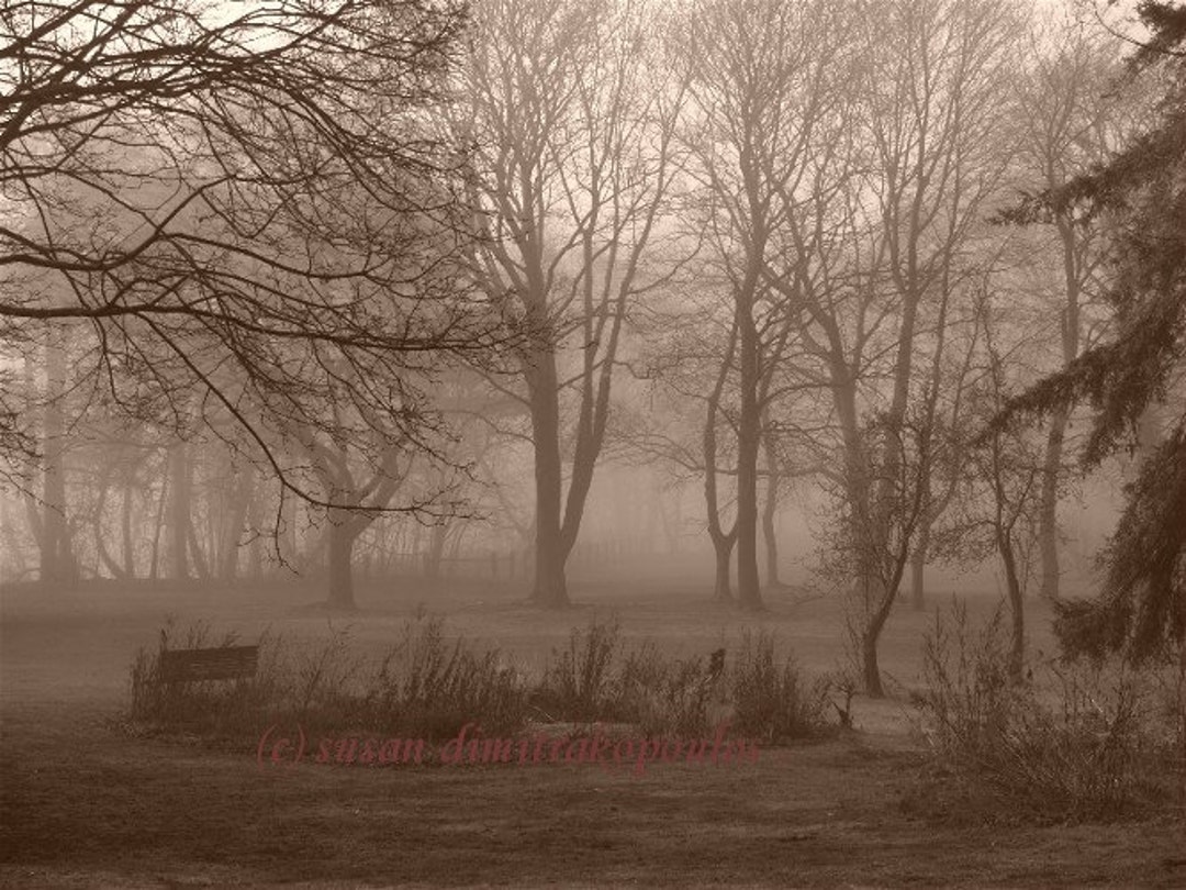 Scenery Photograph - Misty Morning - Sepia, Wall Art, Home Office Decor ...