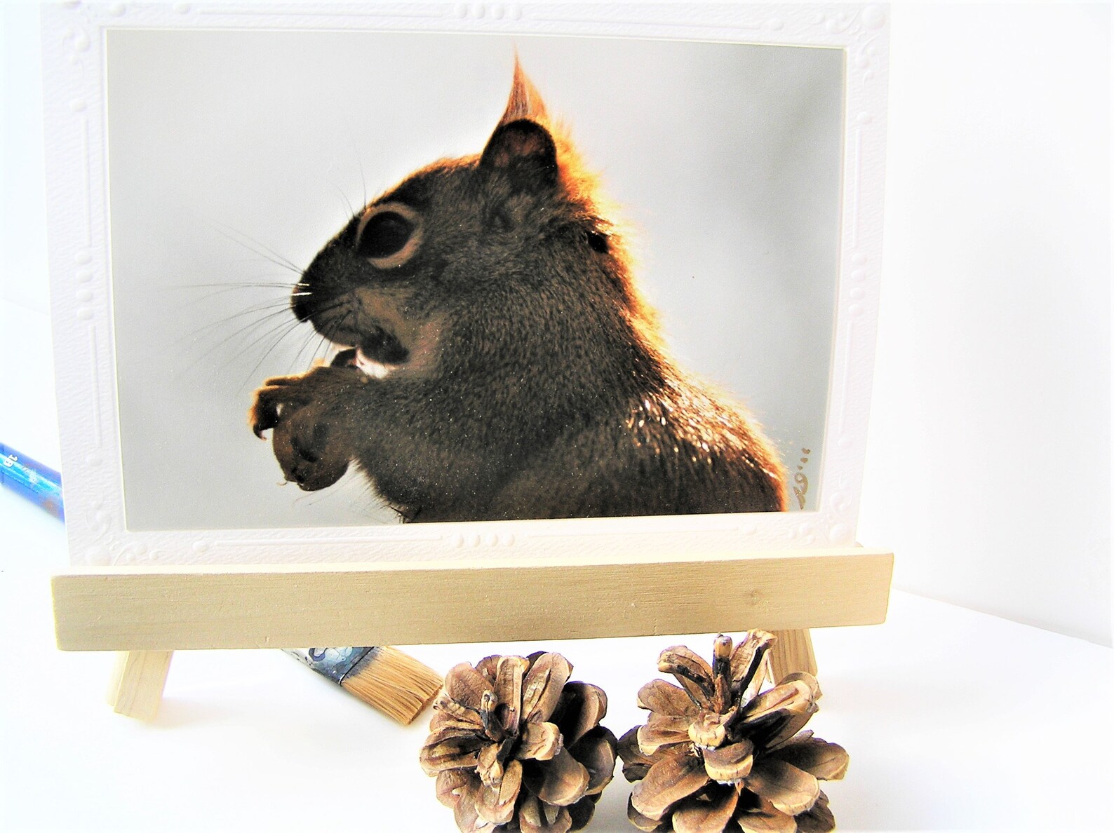 Cute Red Squirrel Fridge or Cabinet Magnet, Wildlife Nature Red ...