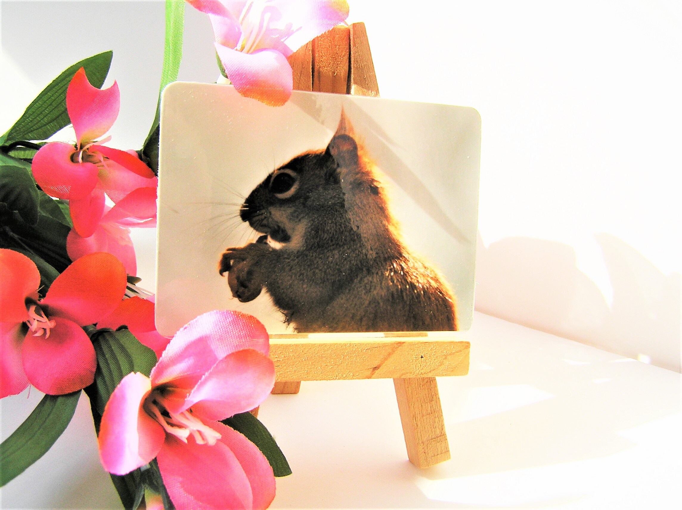 Cute Red Squirrel Fridge or Cabinet Magnet, Wildlife Nature Red ...