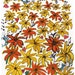 Spring Symphony Blank Card Write Your Own Msg. Flowers Birds ...