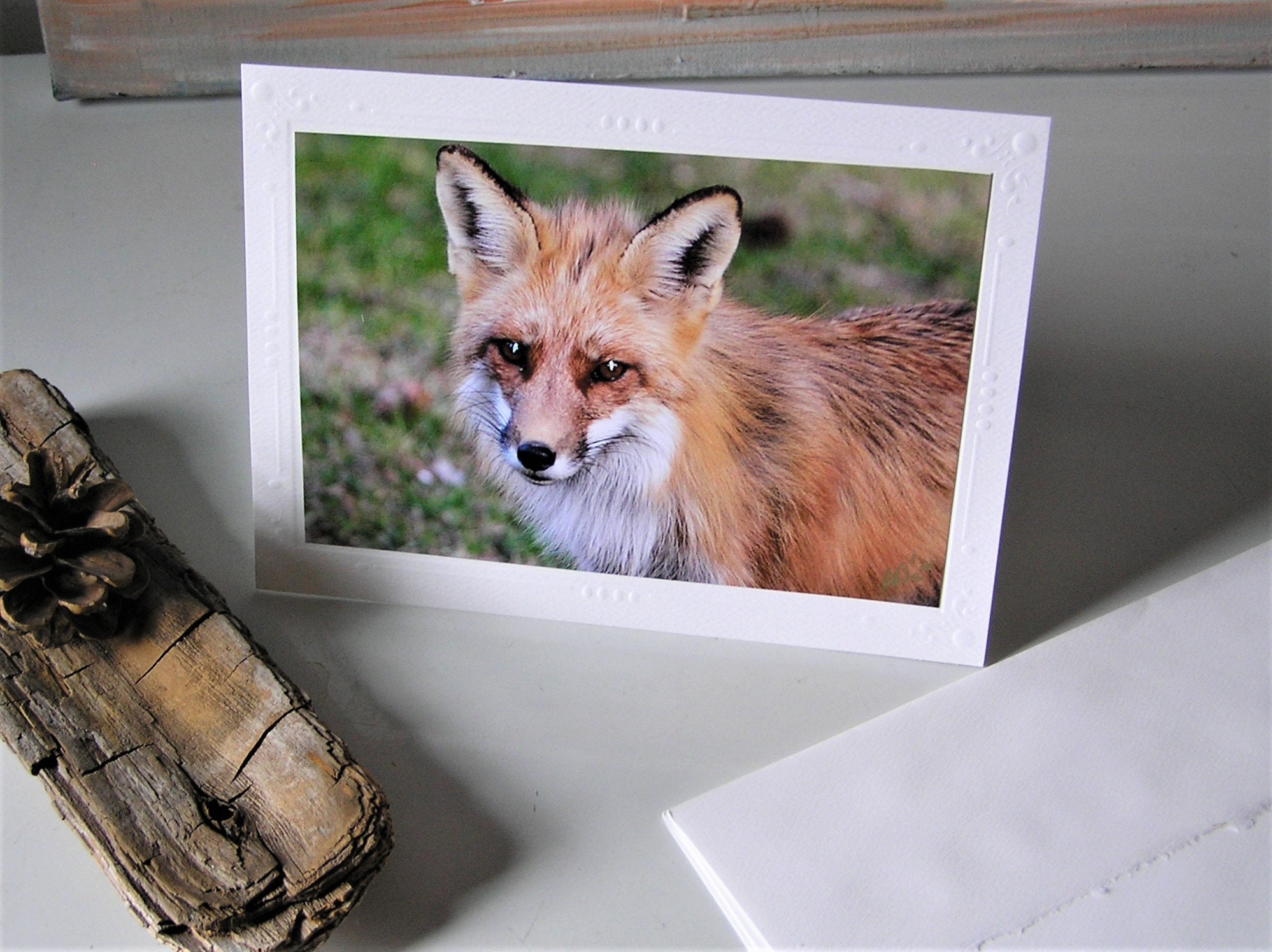 Fox on Bluffs Blank Card Write Your Own Msg. Red Fox Nature - Etsy Canada
