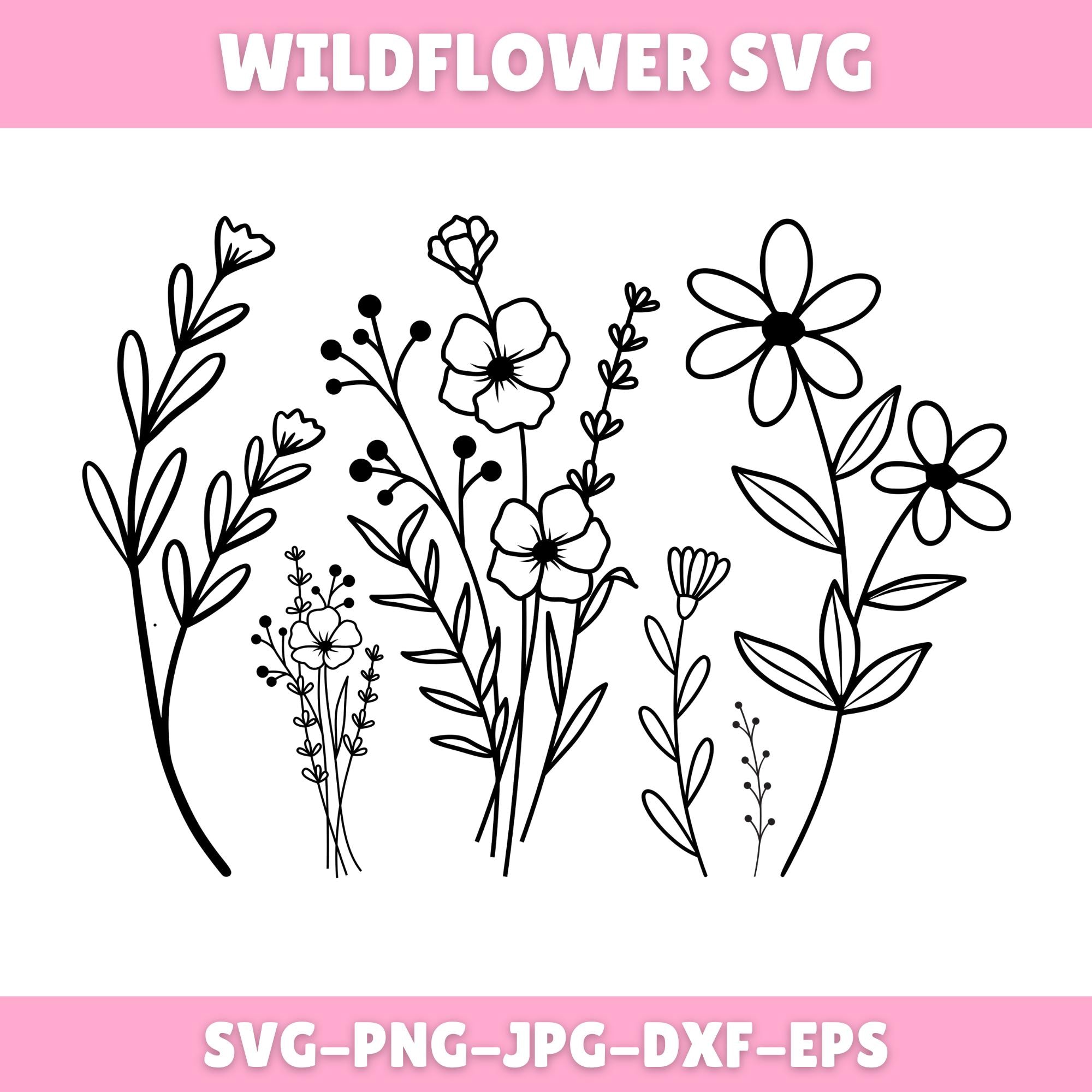 Simple Wildflower Drawing