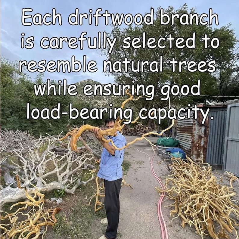 Bookshelf Tree Branch Driftwood Floating Shelves Wall Mount Bookcase ...