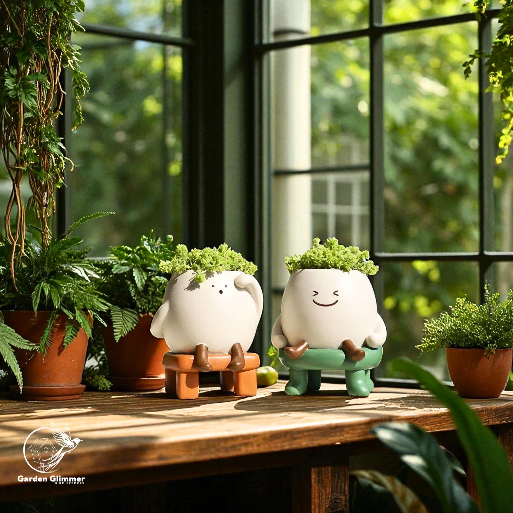 Smiley Face Succulent Planter Pot, Attractive Succulent Pot, Decorative ...