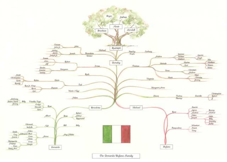 Custom Ilustrated Genealogy Trees - Etsy
