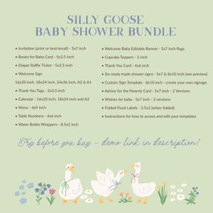 Goose Baby Shower Set, Silly Goose Baby Shower Invitation, Party Decor ...