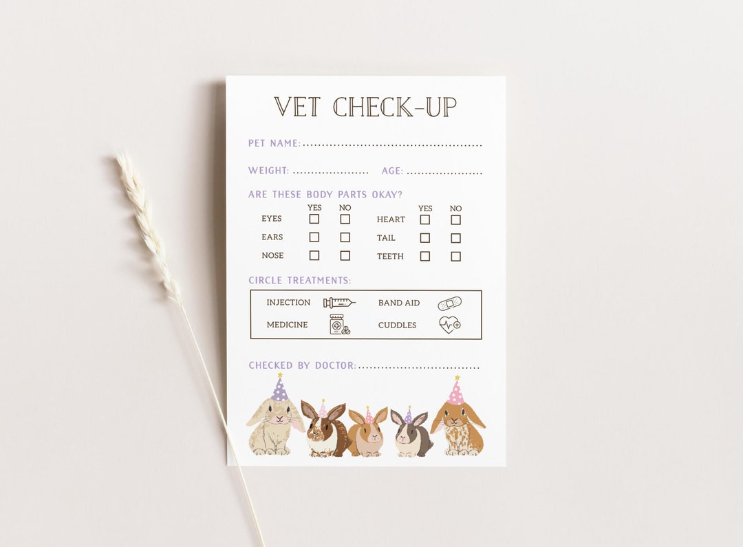 Bunny Vet Check-up Game, Printable Bunny Birthday Party Game Template ...