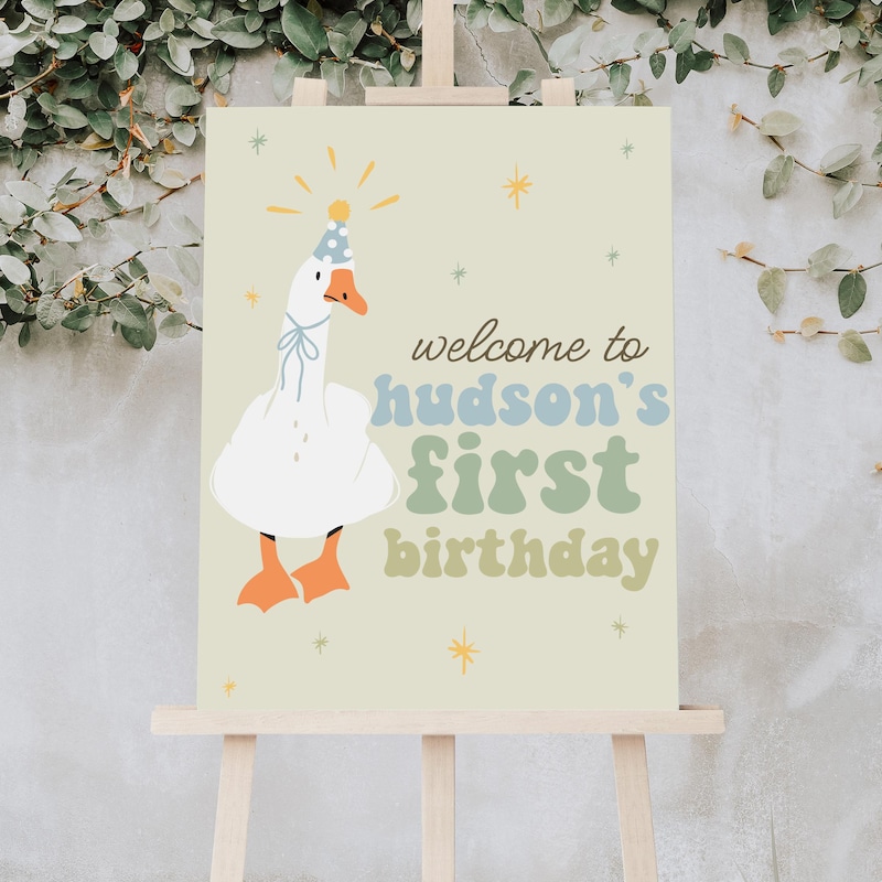 Silly Goose Birthday Party - Etsy