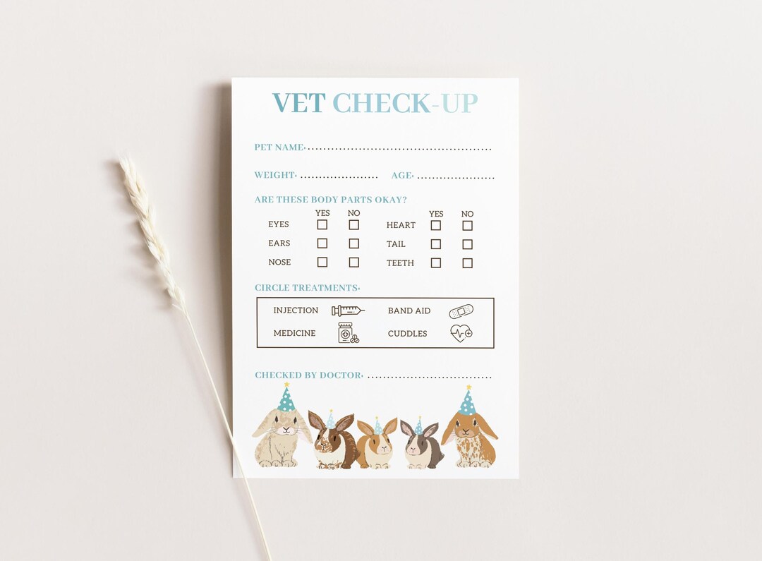 Bunny Vet Check up Game, Printable Bunny Birthday Party Game Template ...