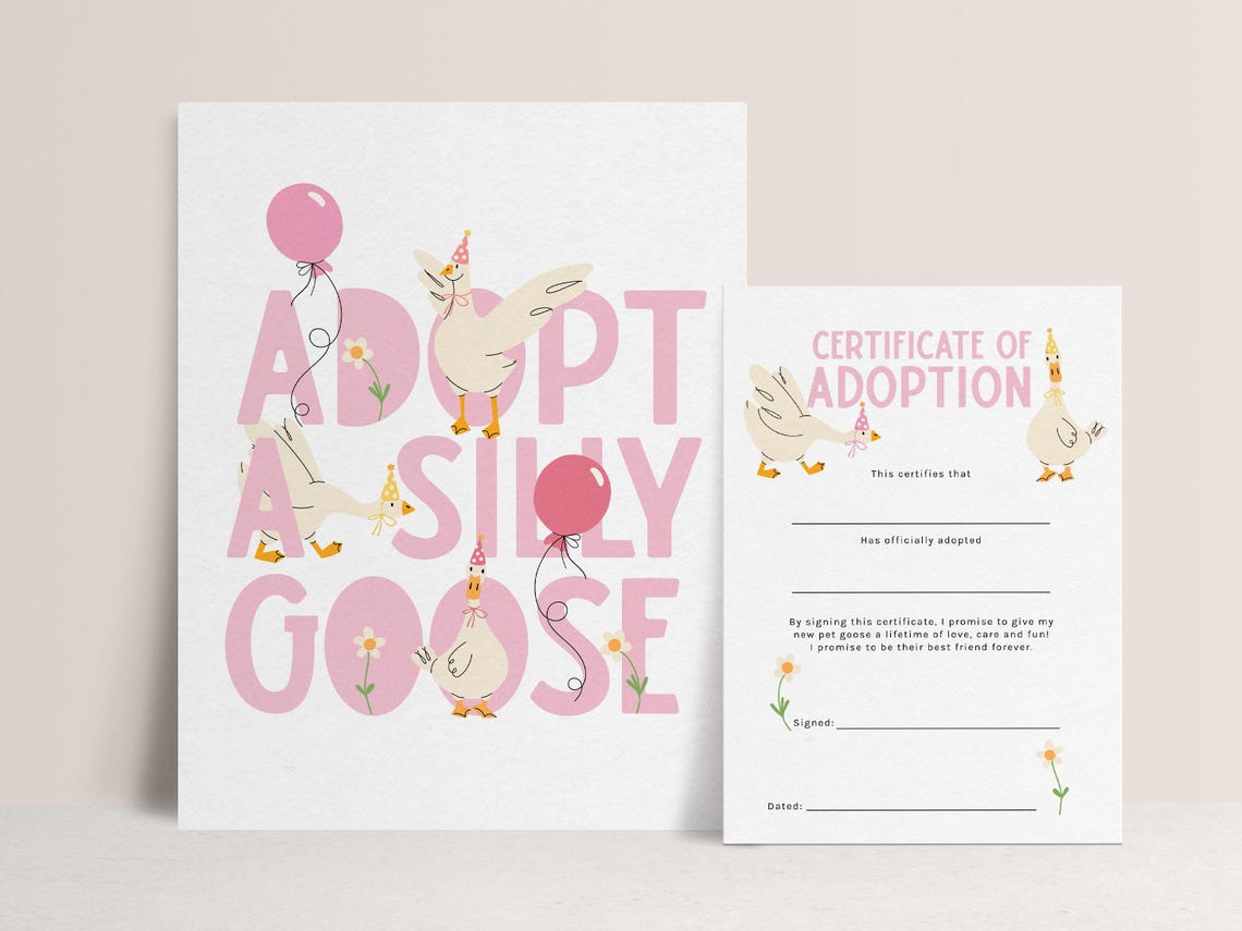 Adopt a Silly Goose Party Game With Sign and Adoption Certificate ...